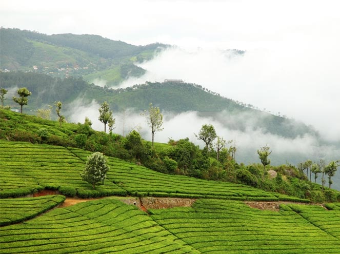 7 Days 6 Nights Munnar Thekkady Alleppey Customized Holidays Tour ...