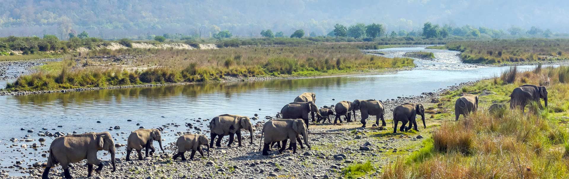 9 Days 8 Nights Couples Only Nainital Mussoorie Haridwar Rishikesh ...