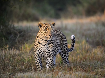 8 Days 7 Nights Rajasthan Mewad Family Tour Package (RJSP) | Veena World