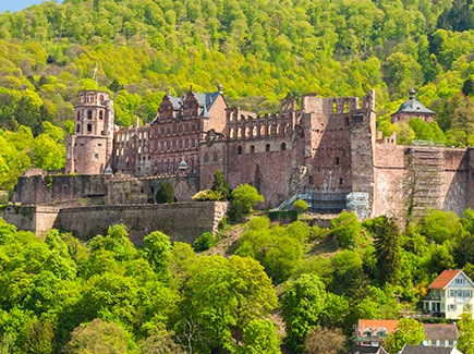 7 Days 6 Nights Germany Amsterdam Family Tour Package | Veena World