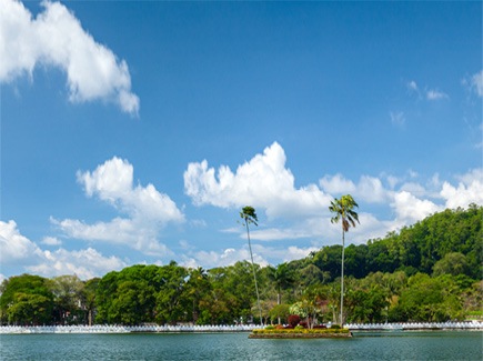 6 Days 5 Nights Women's Special Sri Lanka Women's Special Tour Package ...