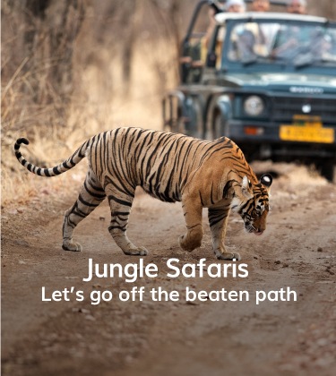 Inbound Tours India: Golden Triangle, Incredible India | Veena World