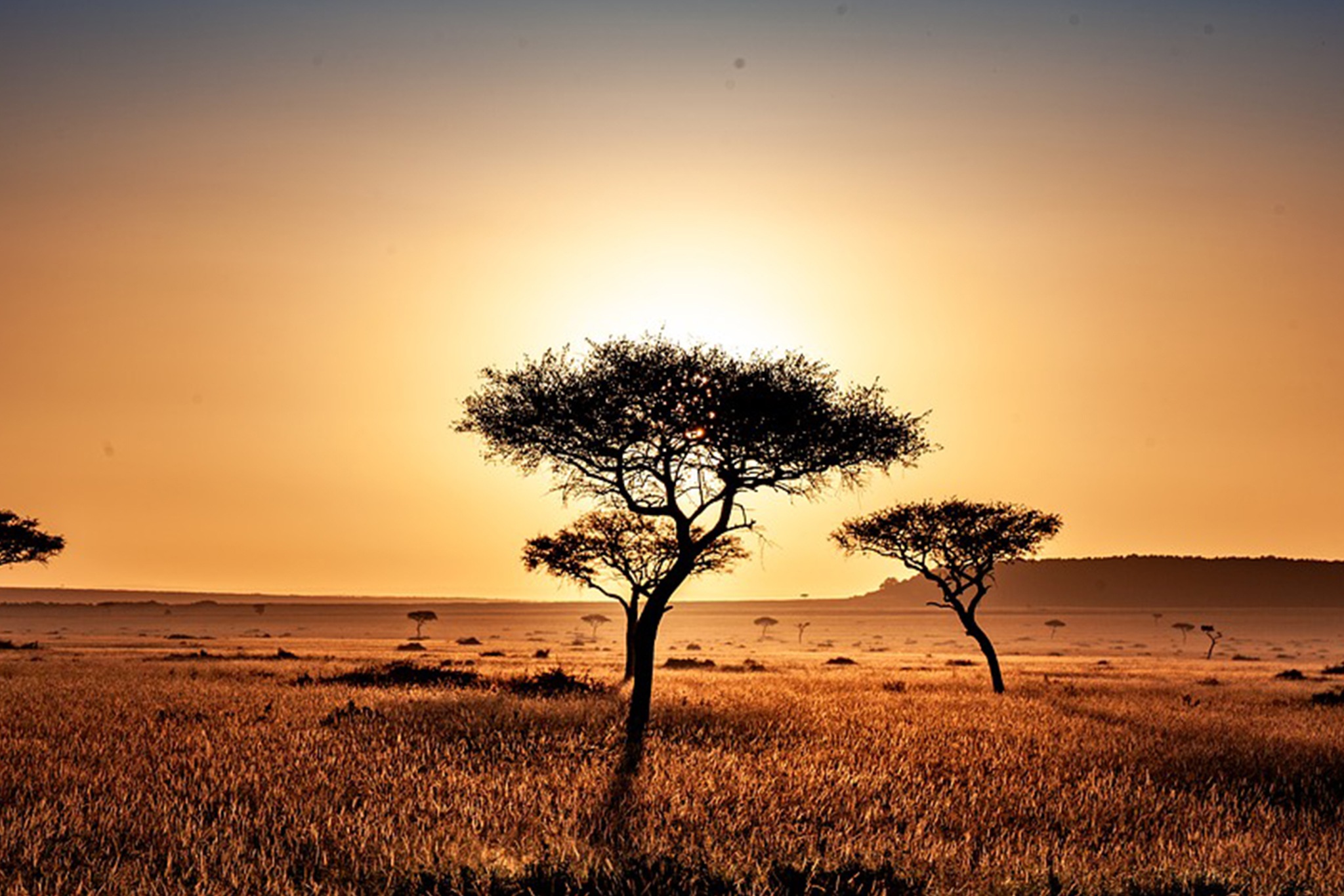 10 Things That Will Elevate Your Kenya Vacation | Veena World
