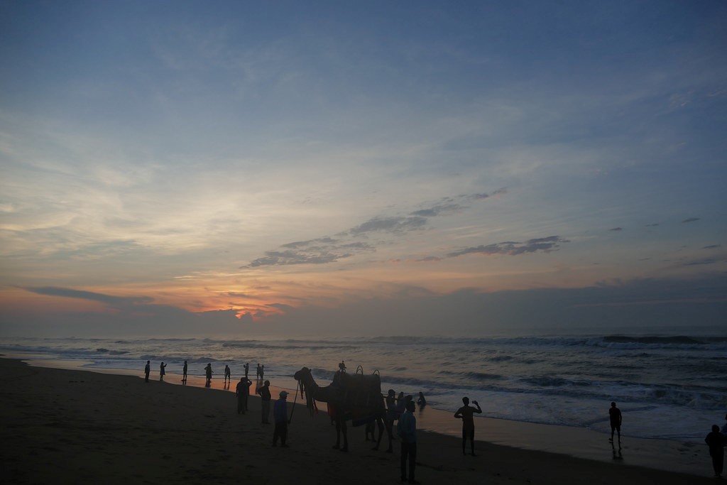 Puri Sightseeing: 9 Iconic Sightseeing Places in Puri for Your Weekend ...