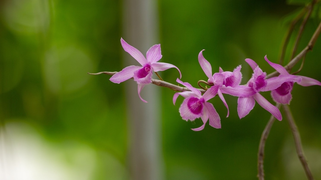 10 Tourist Places to Visit in Imphal | Veena World