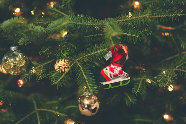 6 Reasons to Celebrate Christmas in Goa | Veena World