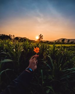 Best Tourist Places to Visit in Summer in South India | Veena World