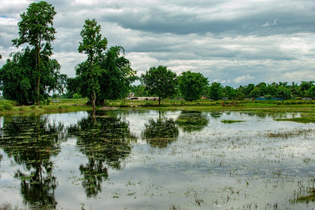 Top 10 Places to Visit in Siliguri for Couples | Veena World