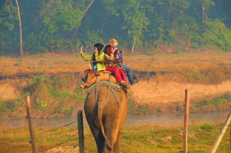 Chitwan National Park Nepal – A Guide to Visiting the Best Wildlife in ...