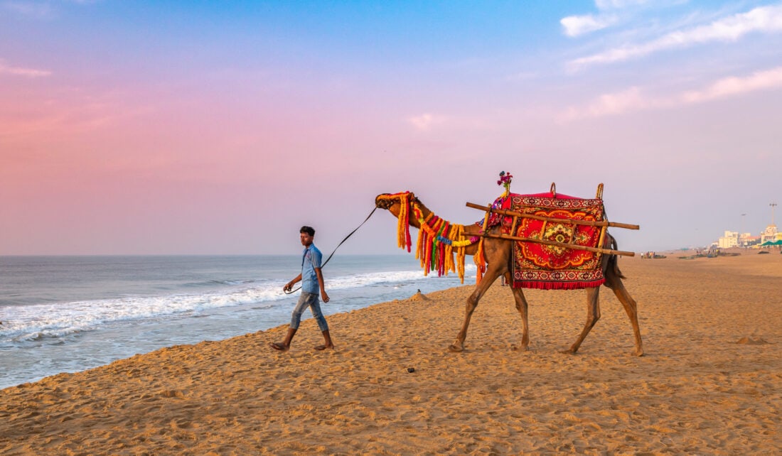 Meet The Heavenly Beaches in Puri | Veena World