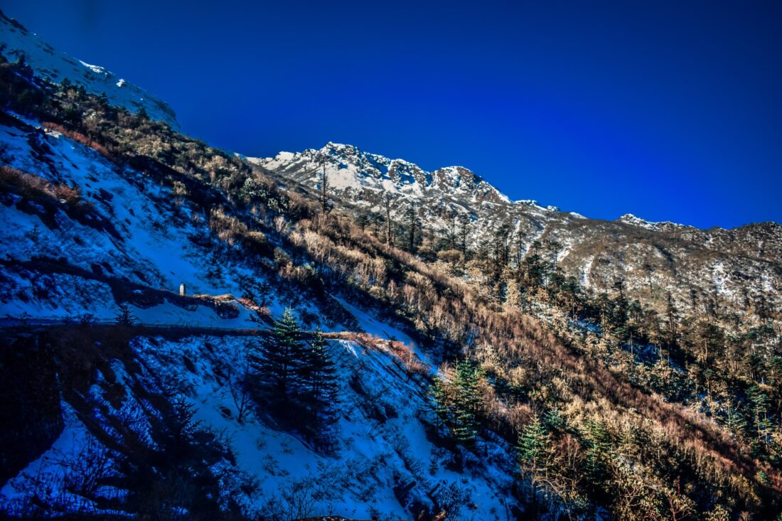 Yumthang Valley, Lachung: A Trip to Sikkim’s Hidden Treasure | Veena World