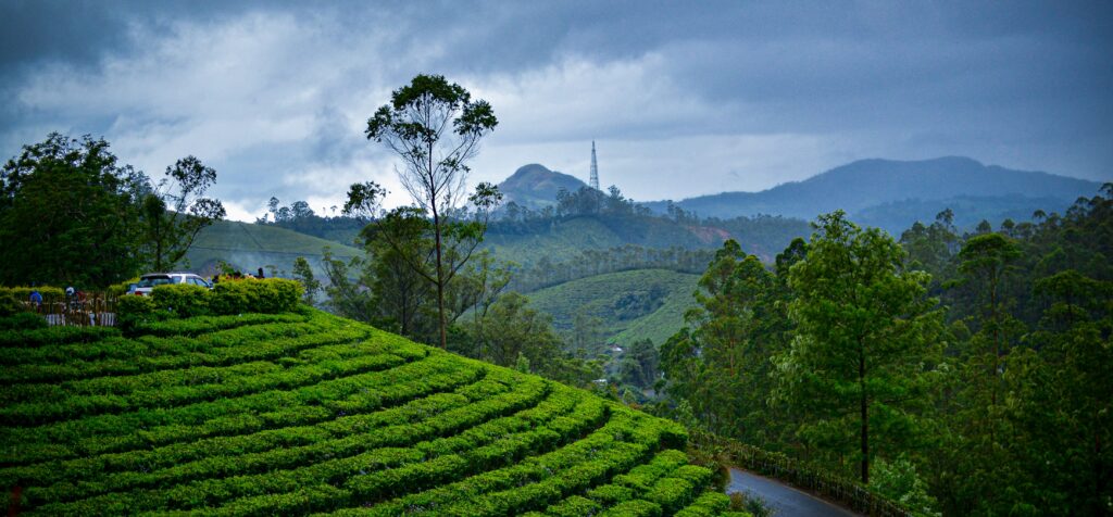 Top Hotels You Can Choose to Stay in on Your Trip to Munnar | Veena World