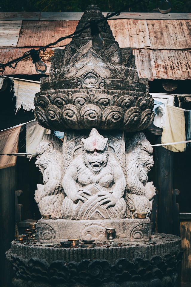 The mystery of the Himalayan Yeti | Veena World