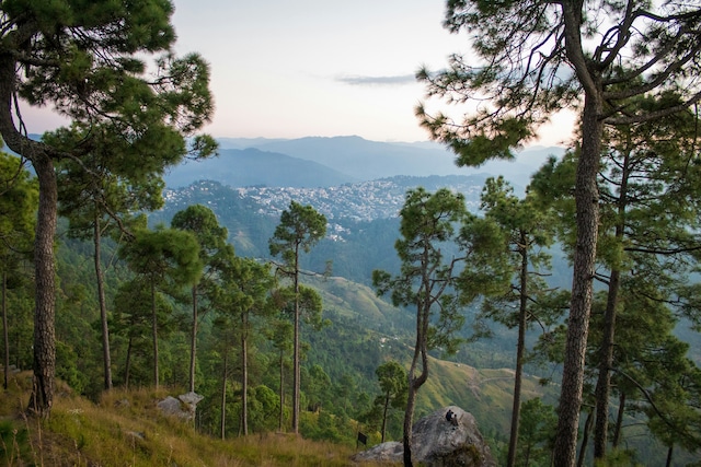 10 Best Places To Visit In Almora For A Unforgettable Experience ...