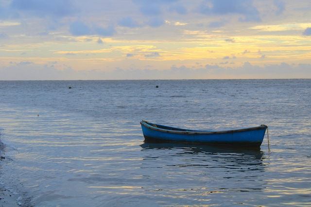 Beaches in Daman - Discover the Charm of West Coast | Veena World