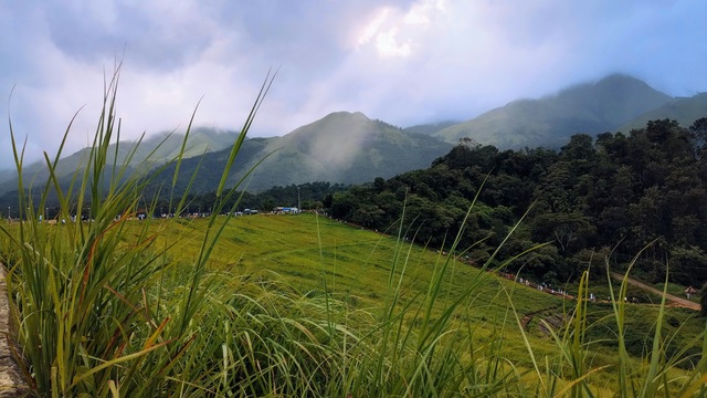 Best Time to Visit Wayanad: Explore the Season Wonders in the Misty ...