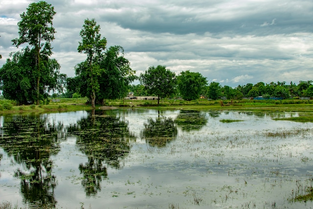 12 Best Things To Do in Siliguri (2025 Guide) | Veena World