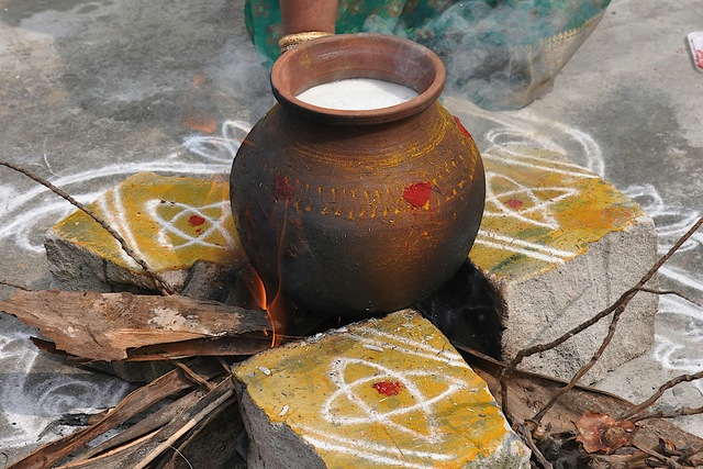 Discover the Best Destinations to Celebrate Pongal | Veena World