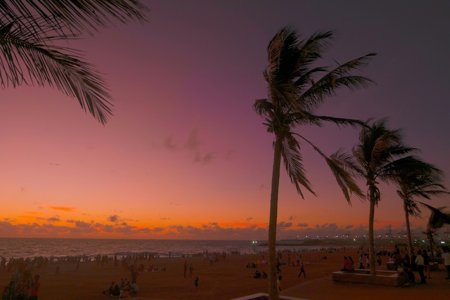 Top Beaches in Colombo That Every Traveller Must Visit | Veena World
