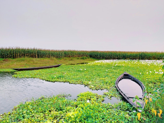 Things to Do in Silchar - Exploring the Serenity of Assam | Veena World