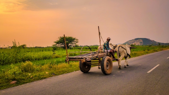 The Nellore Narrative: Exploring the City | Veena World