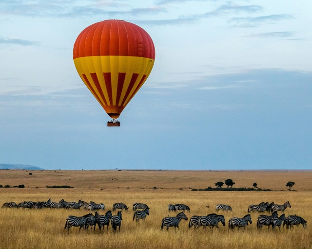 Best Time to Go to Masai Mara - An Epic Adventure Deep in the ...